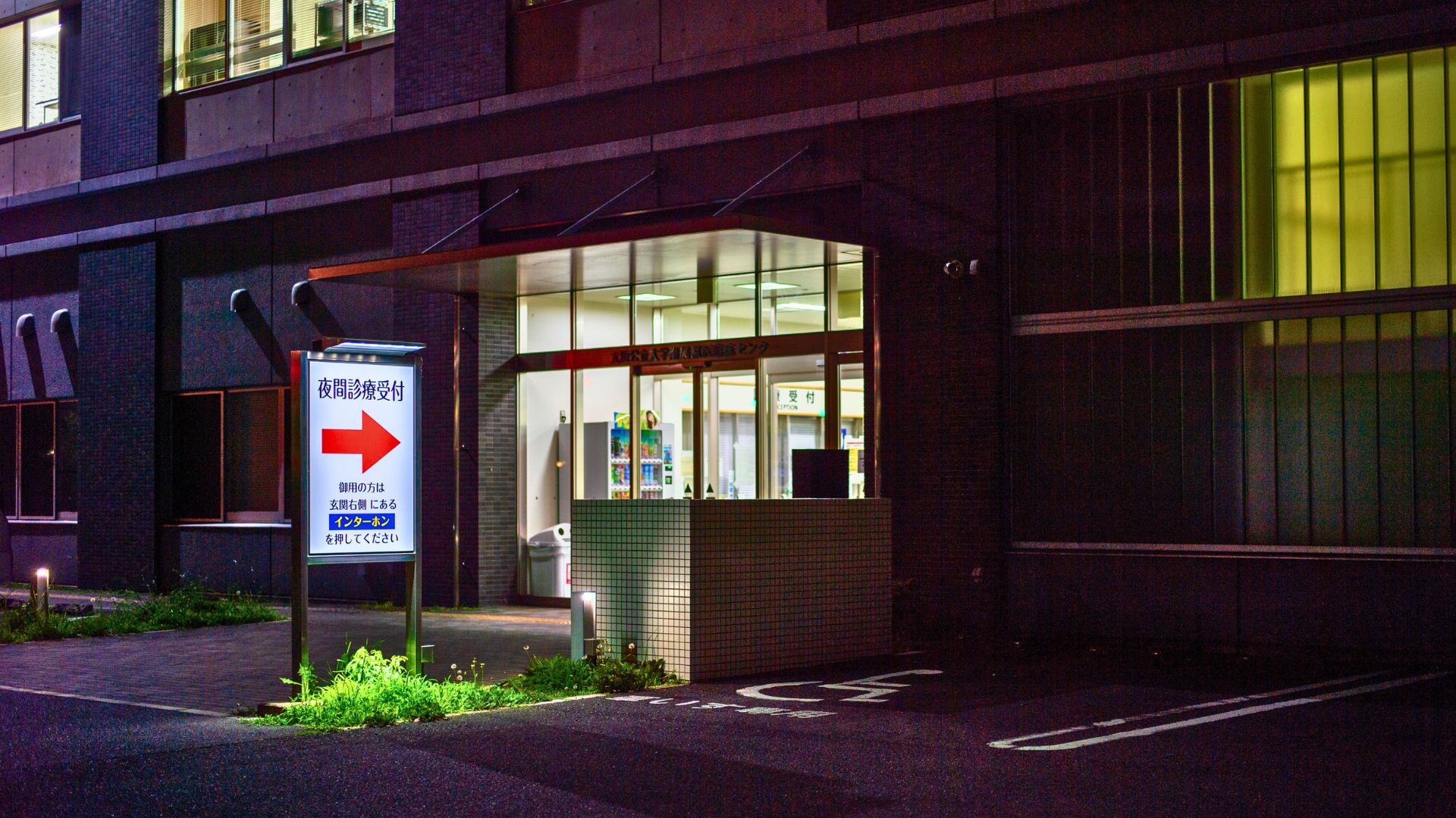 【キャリアアップを目指す獣医師へ】RAEMAの夜間診療でよくある質問と回答を解説 | 大阪の夜間救急動物病院「一般社団法人りんくう動物救急医療協会」